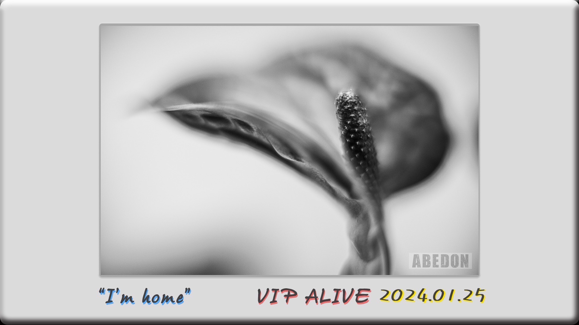 INFO | ABEDON OFFICIAL WEBSITE