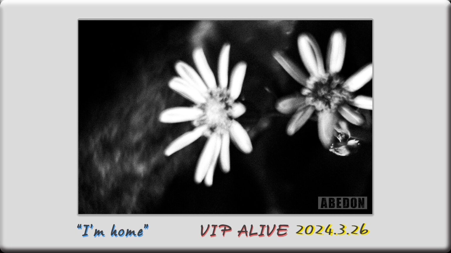 INFO | ABEDON OFFICIAL WEBSITE