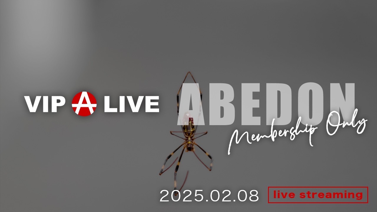 INFO | ABEDON OFFICIAL WEBSITE